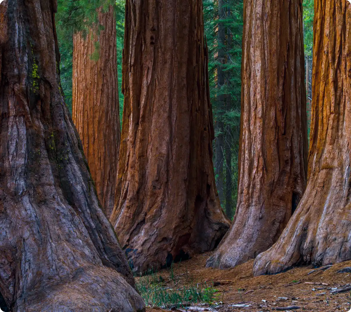 Perseus Group | Home