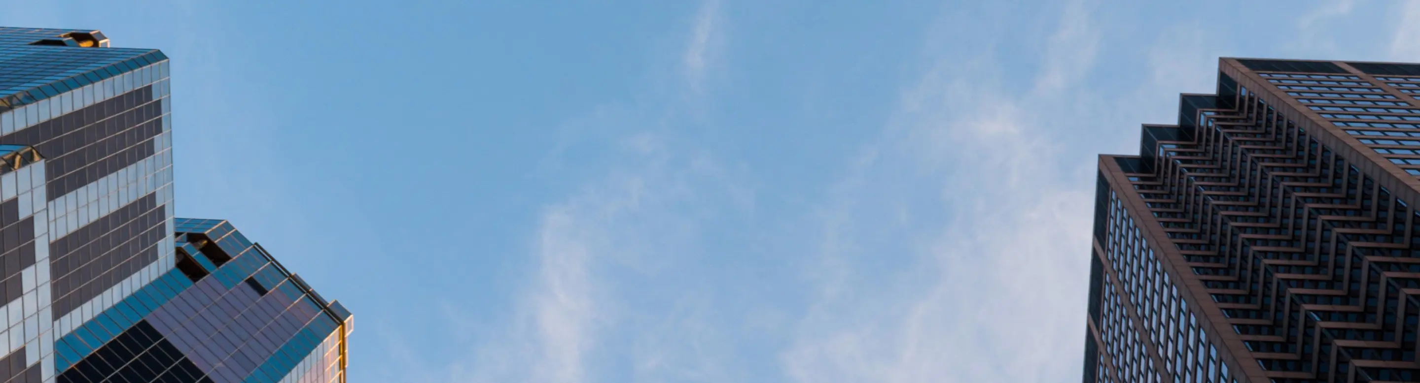 Perseus Group | About