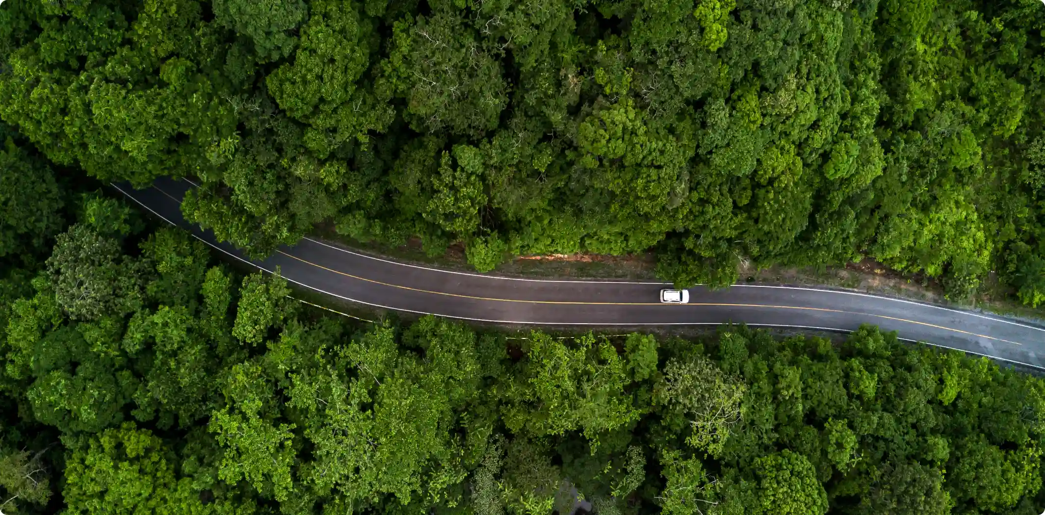 Perseus Group | About