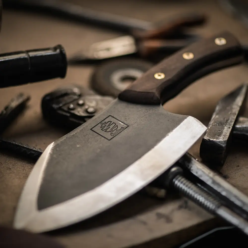 Buy 2 Get 2 FREE | Special Offer | Coolina