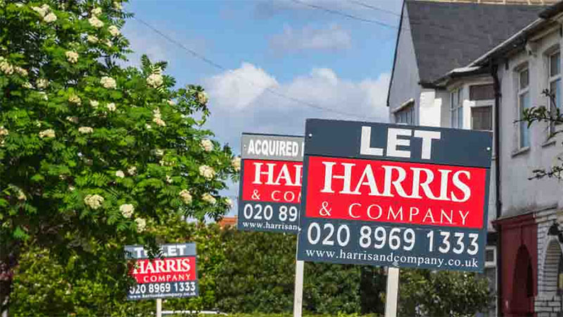 Agents report unusually quiet rental property market