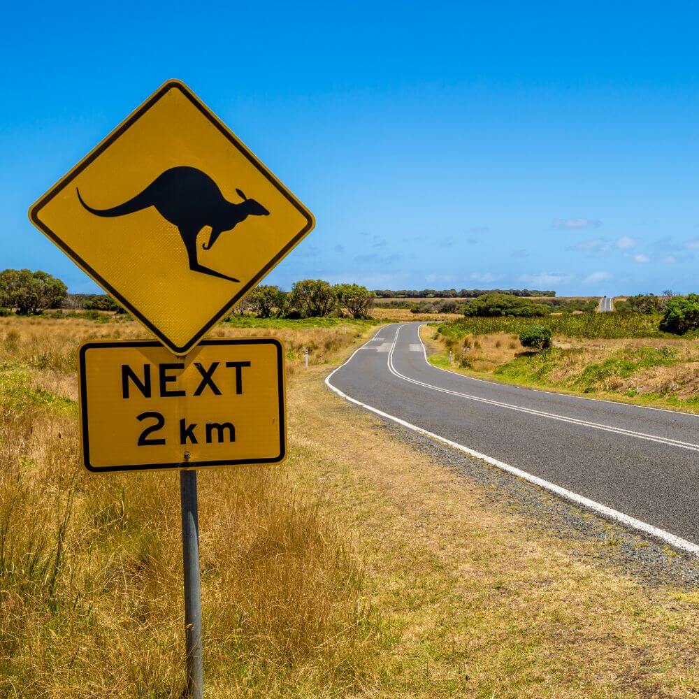 Interstate Towing and Transport | Nationwide Towing & Transport