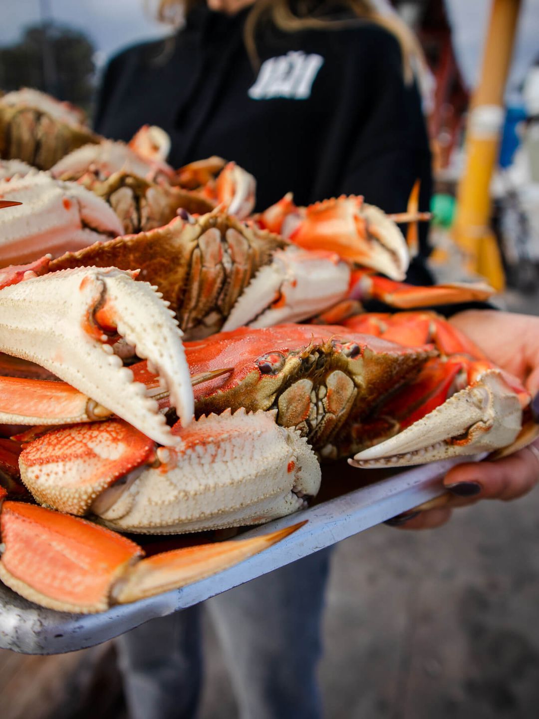 The Art of Reheating Dungeness Crab | Recipes | H&H Fresh Fish