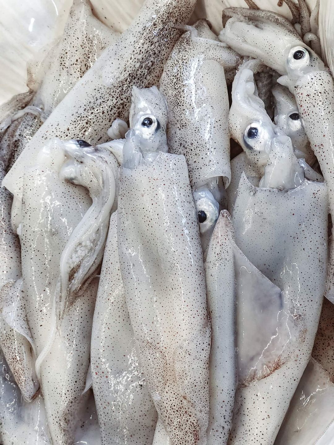 Home | H&H Fresh Fish | Santa Cruz, CA