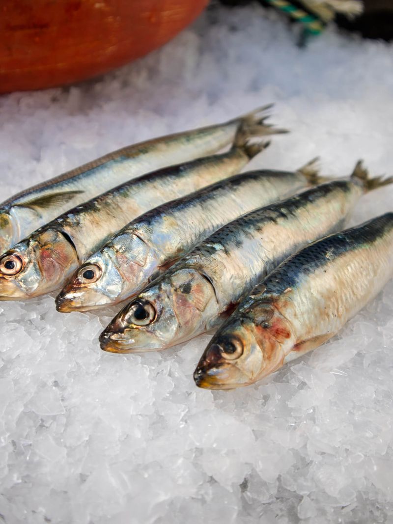 Home | H&H Fresh Fish | Santa Cruz, CA