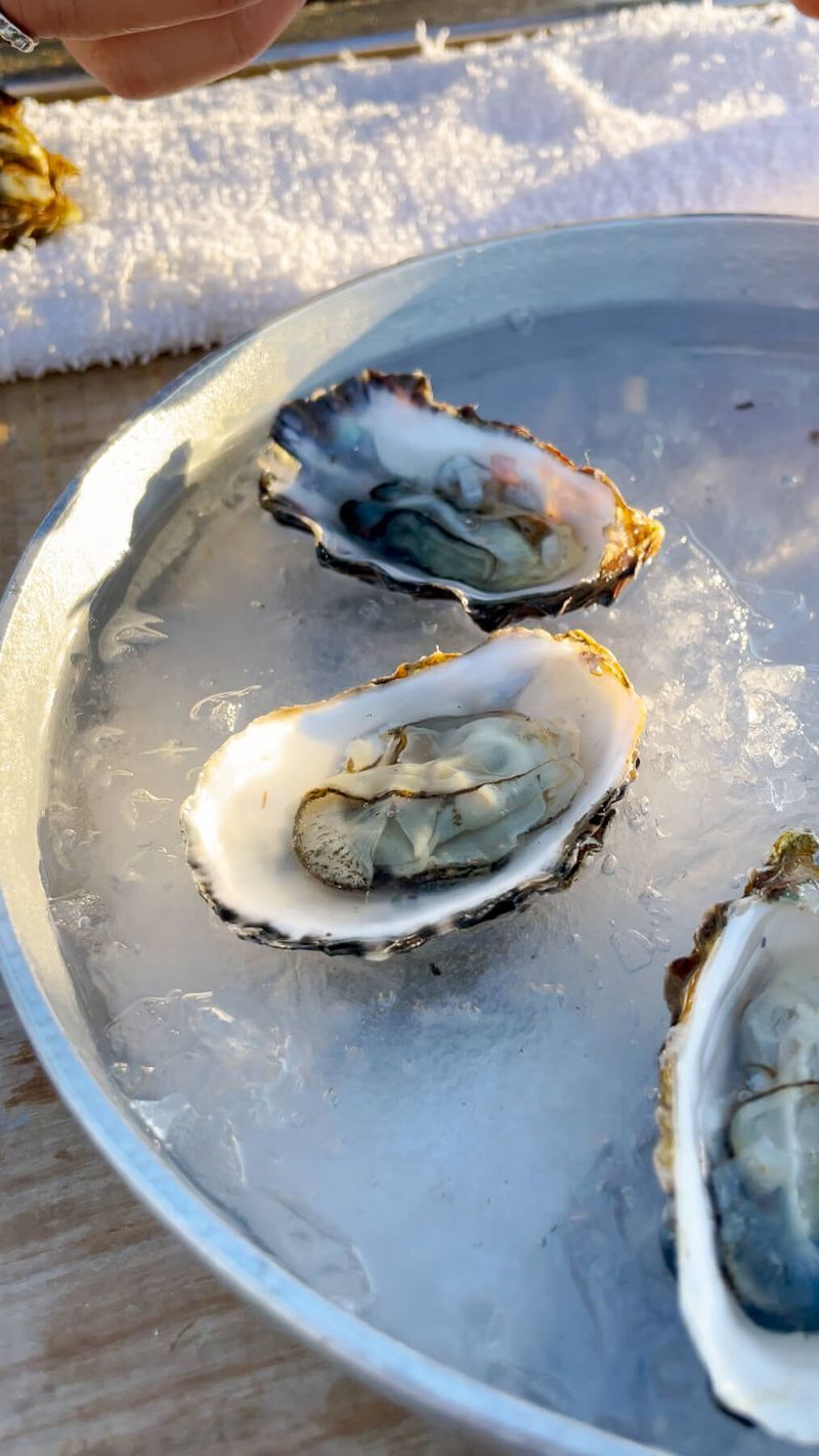 Point Reyes Oysters | Seafood Directory | H&H Fresh Fish