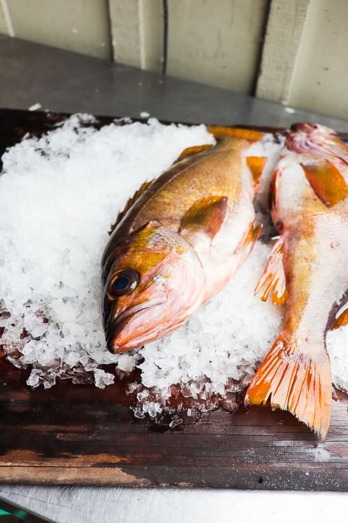 Home | H&H Fresh Fish | Santa Cruz, CA