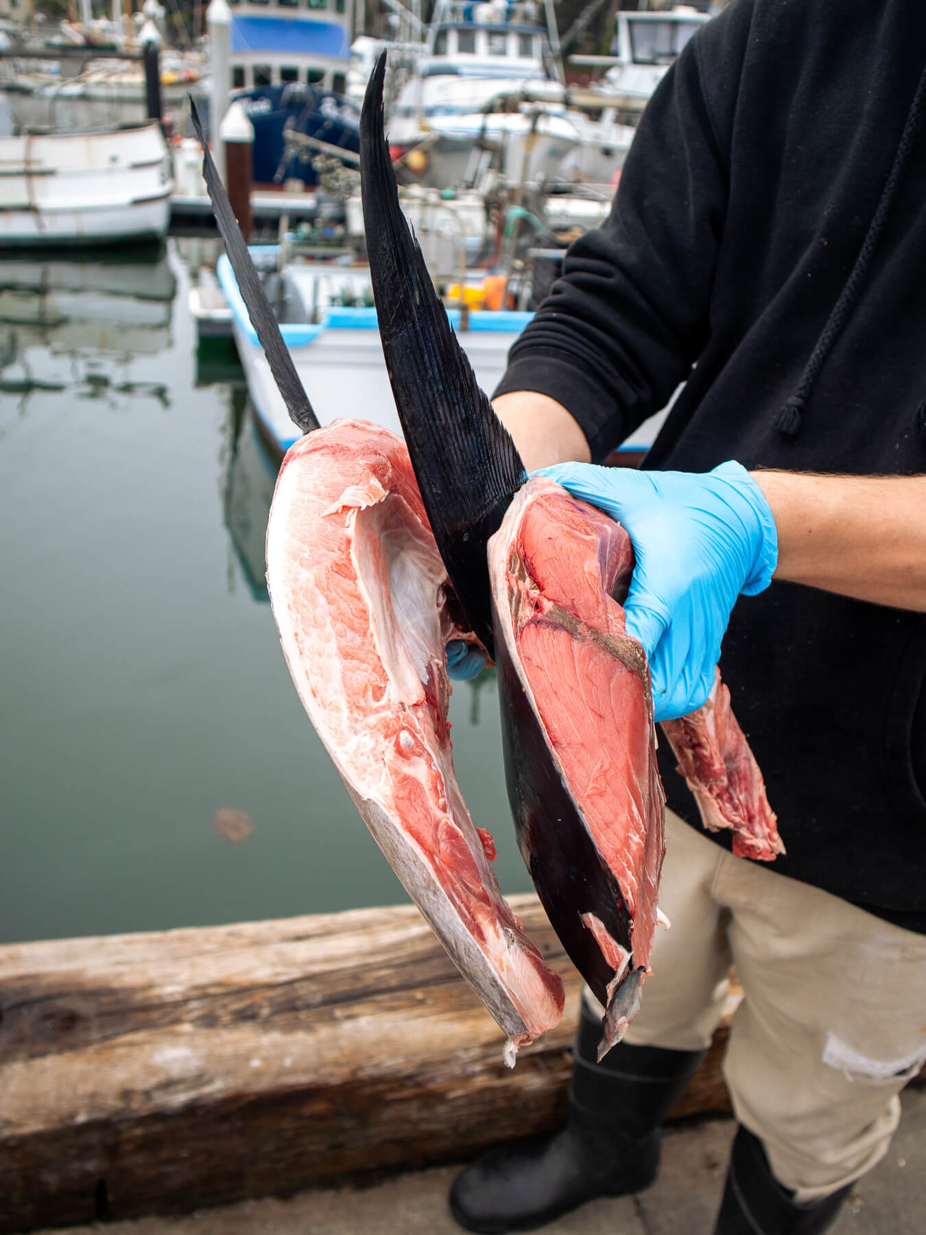 Bluefin Maguro Collars | Seafood Directory | H&H Fresh Fish