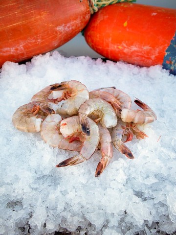 Home | H&H Fresh Fish | Santa Cruz, CA