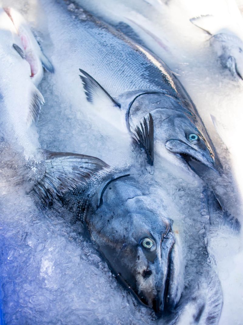 Current Selection | H&H Fresh Fish | Santa Cruz, CA