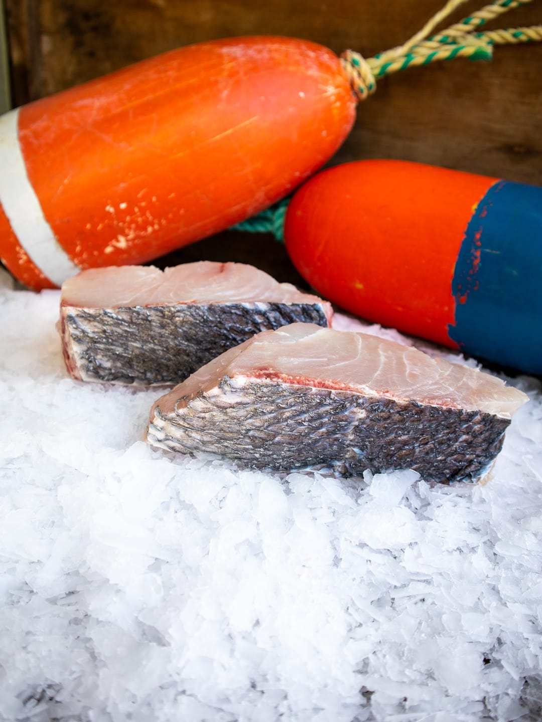 Home | H&H Fresh Fish | Santa Cruz, CA