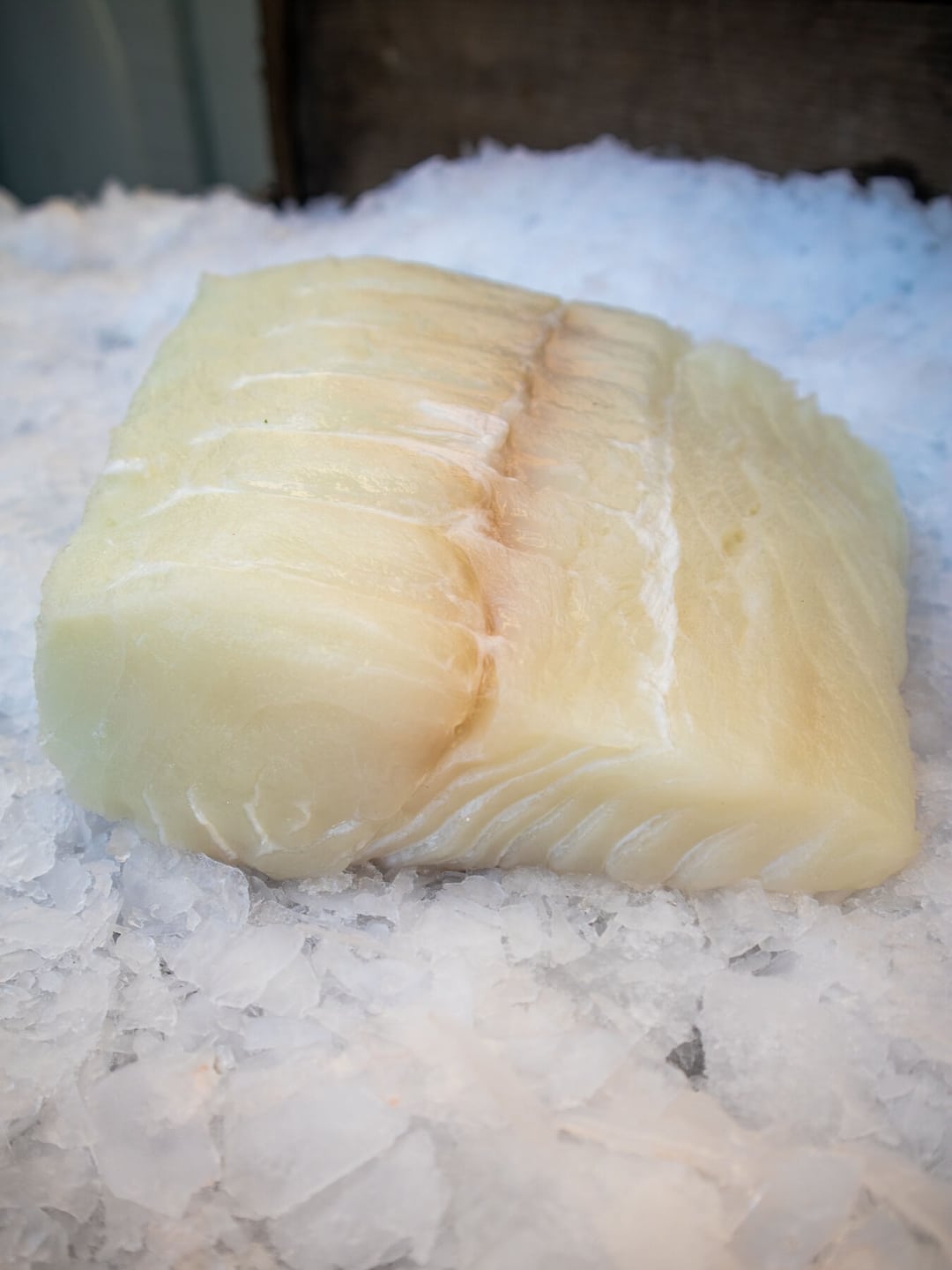 Home | H&H Fresh Fish | Santa Cruz, CA