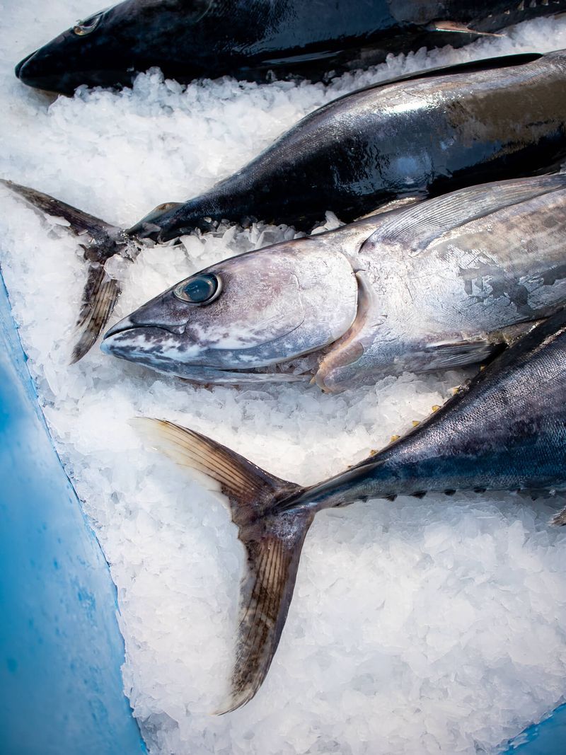 Current Selection | H&H Fresh Fish | Santa Cruz, CA