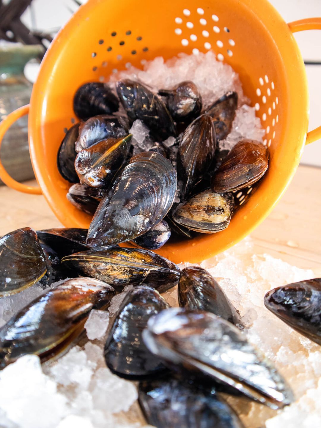 Seafood Delivery | H&H Fresh Fish | Santa Cruz, CA