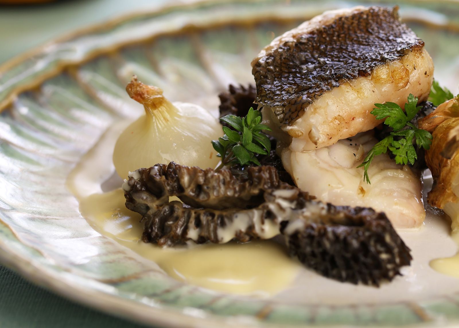 Sand Dabs | Seafood Directory | H&H Fresh Fish