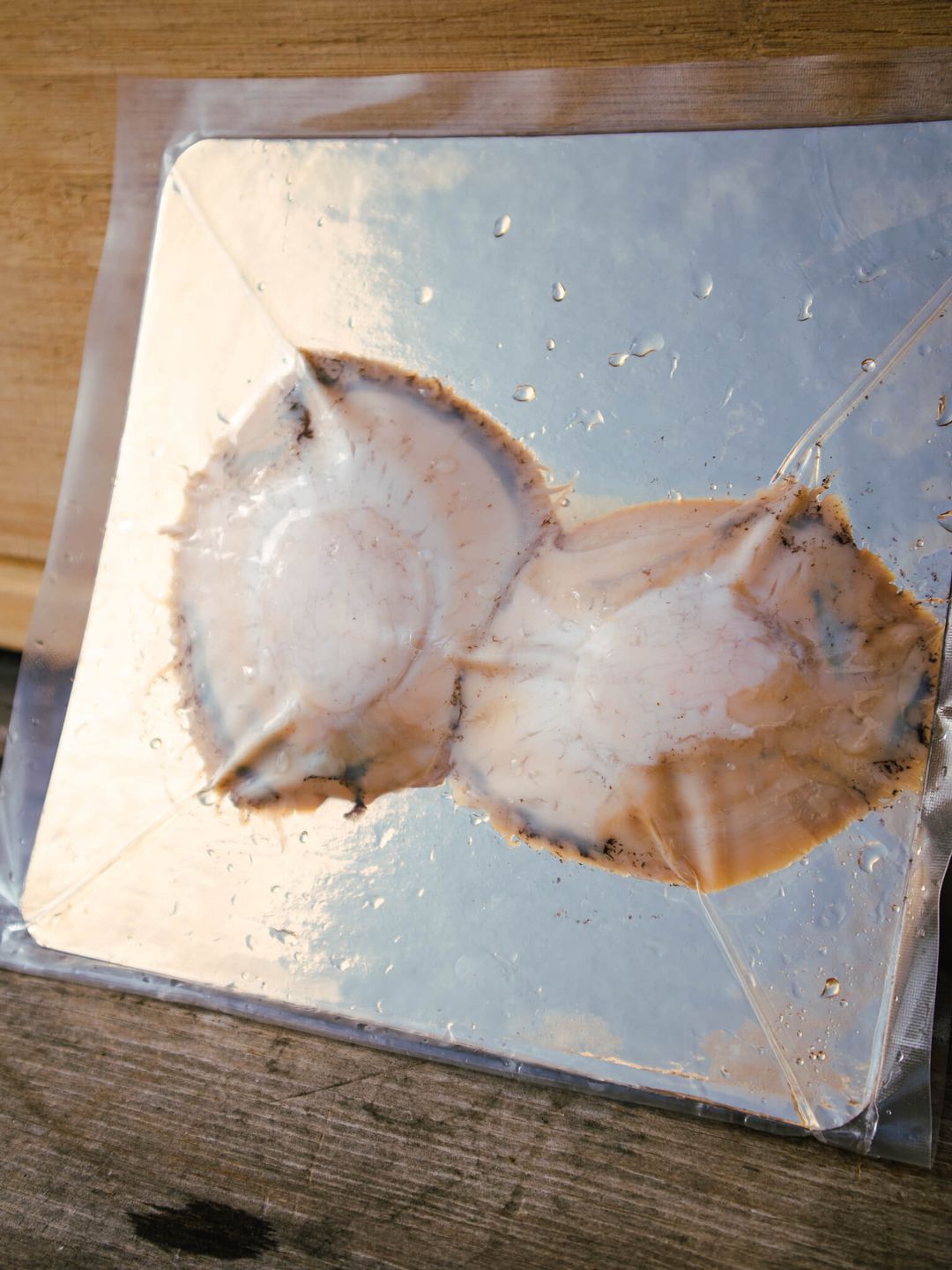 Abalone Steaks | Seafood Directory | H&H Fresh Fish