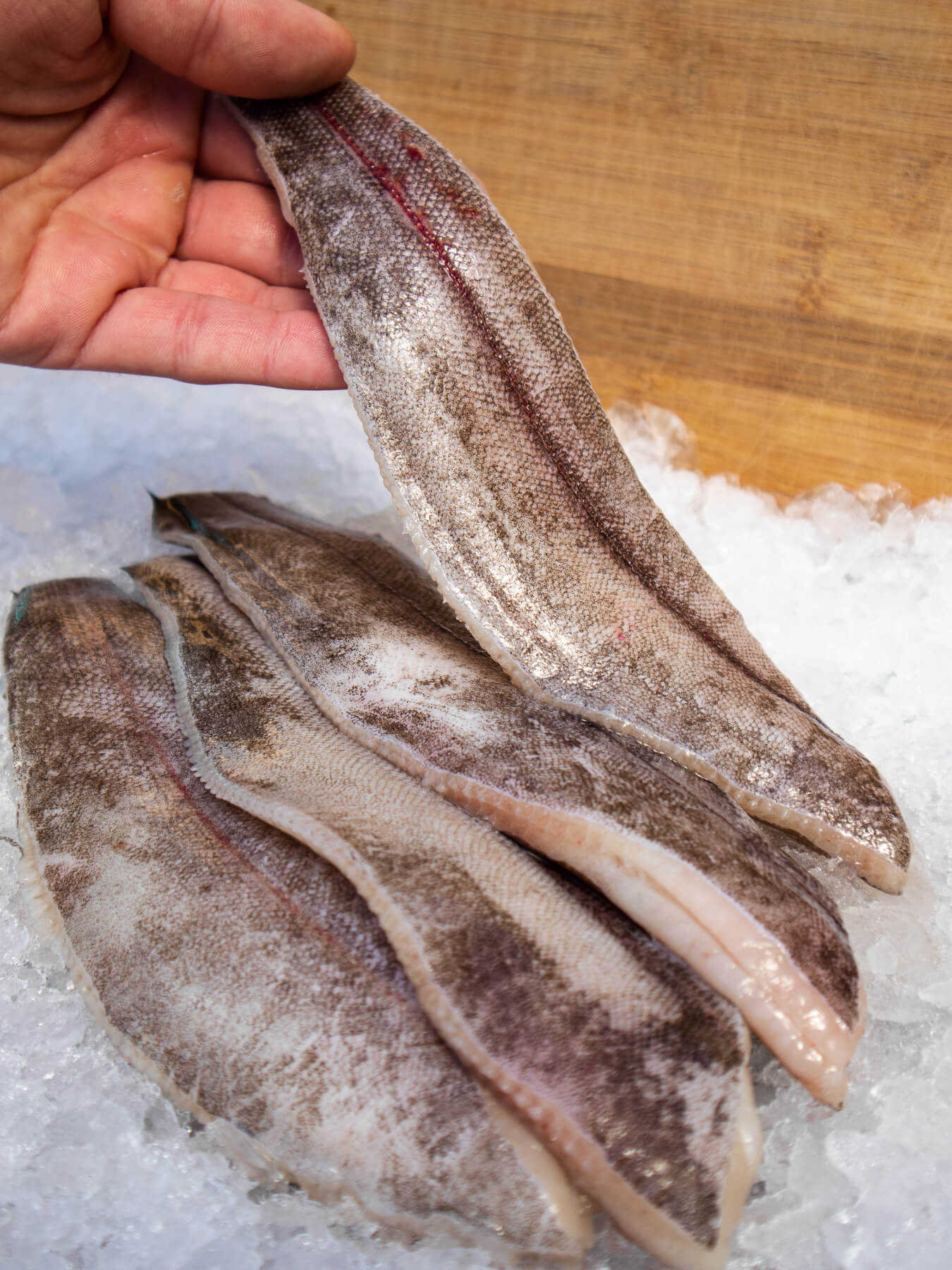 Rex Sole | Seafood Directory | H&H Fresh Fish