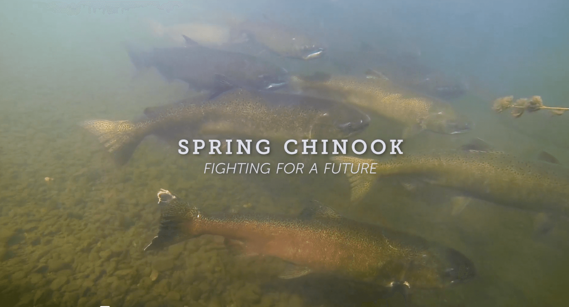 The Confederated Tribes of Warm Springs | Wahoo Films Video Production ...