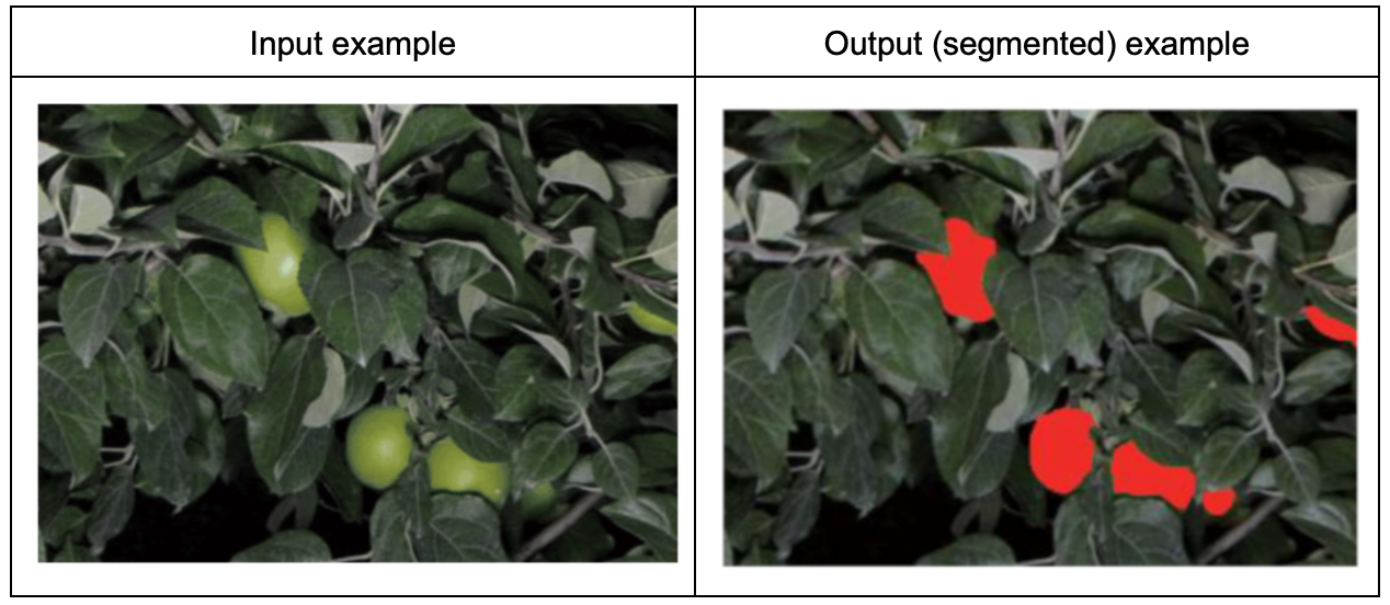 Top 4 Computer Vision Problems & Solutions in Agriculture Data — Part 2