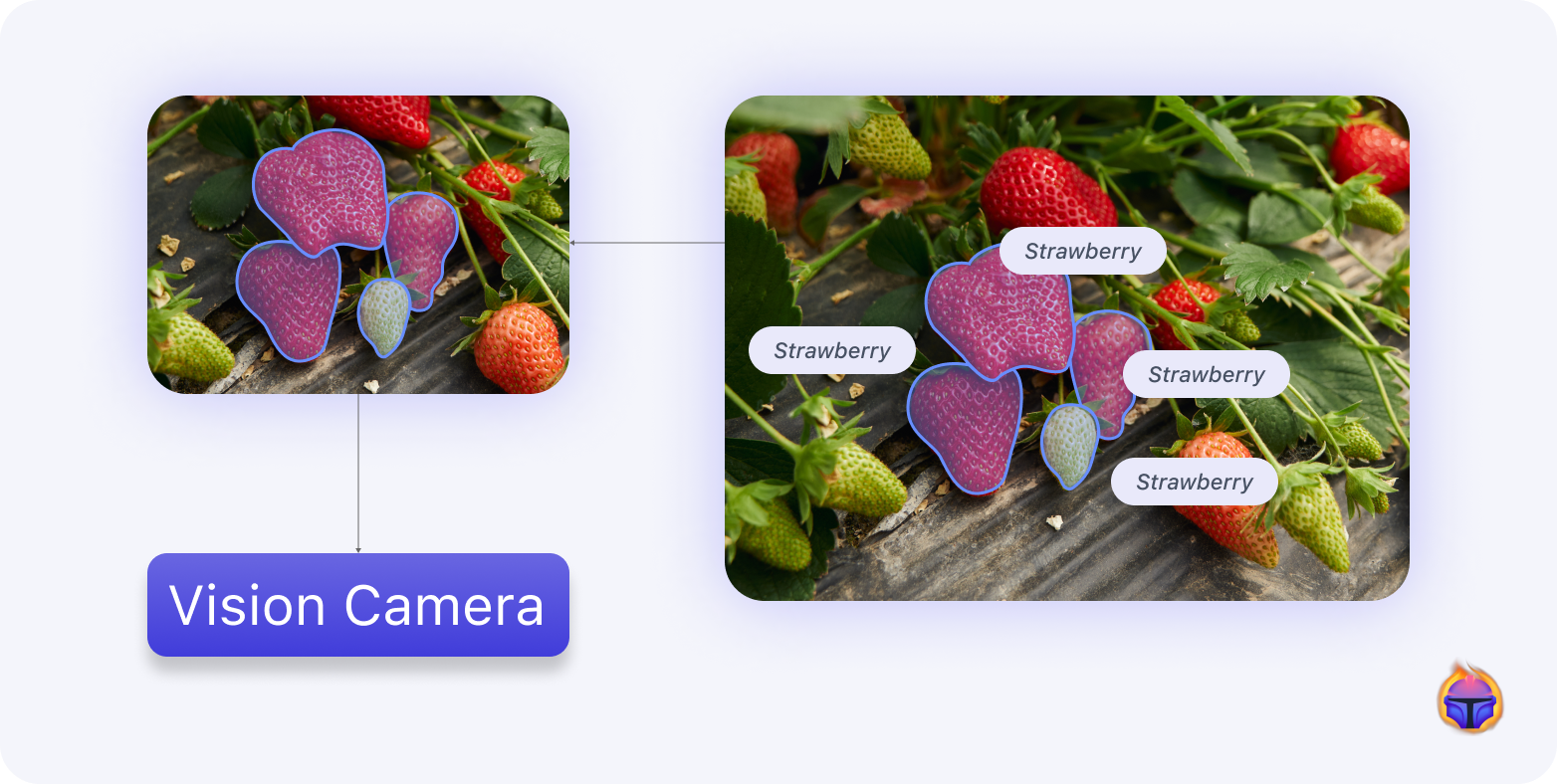 Top 4 Computer Vision Problems & Solutions in Agriculture Data — Part 2