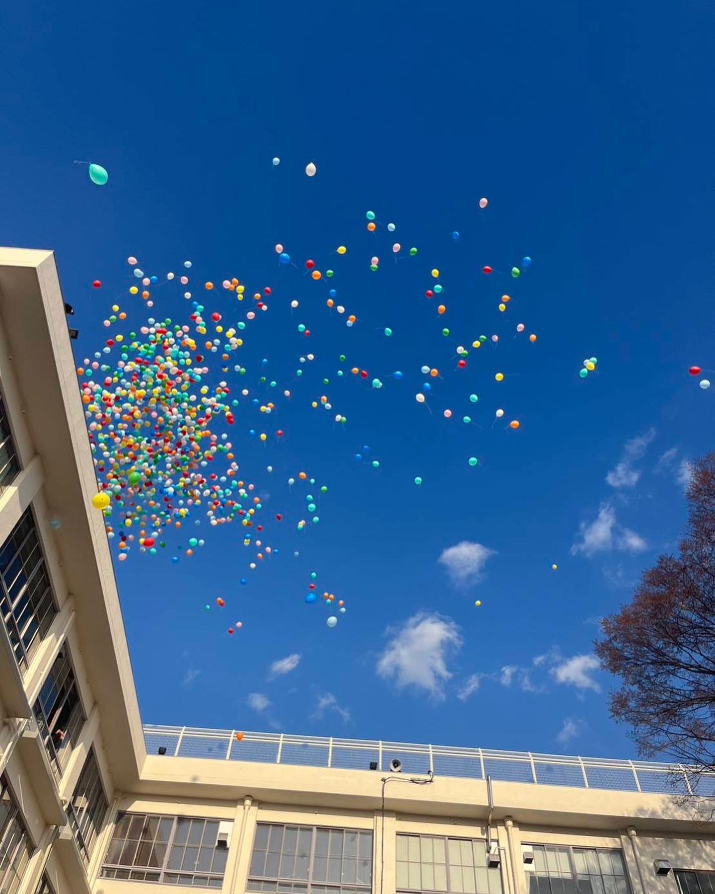 カフェ概要｜ZELKOVA CAFE