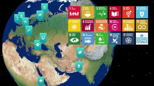 Case Studies - Resources - Lyfta