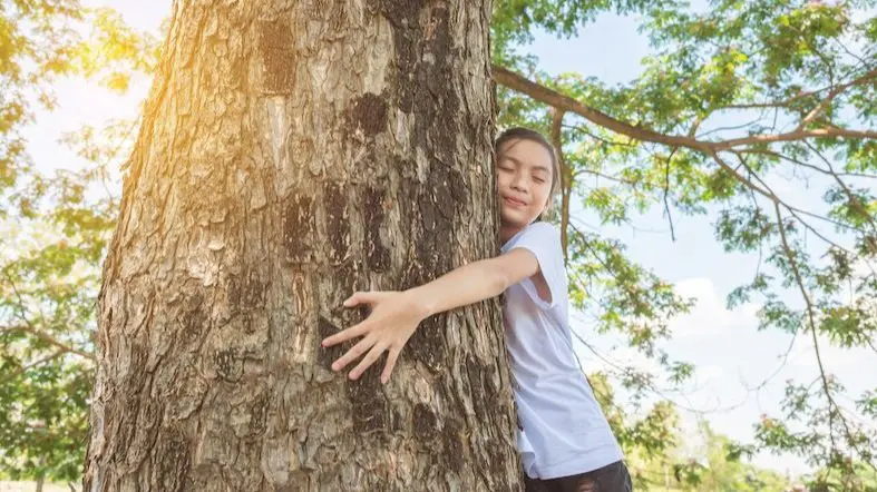 10 student ideas to protect the environment - Lyfta Blog