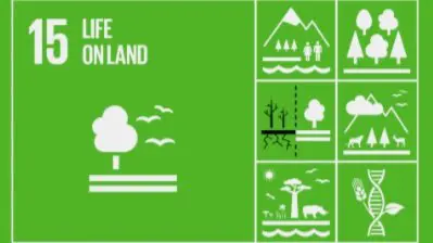 Exploring Biodiversity with Lyfta - Lyfta Blog