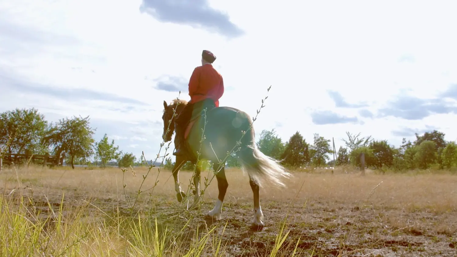 Inspiring readers: Animals and the natural world - Lyfta Blog