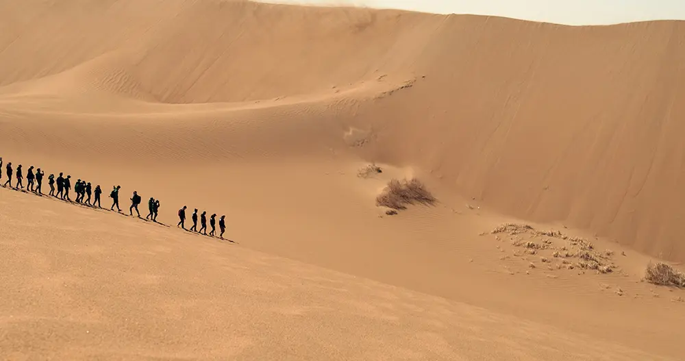 World Day to Combat Desertification and Drought - Lyfta Calendar