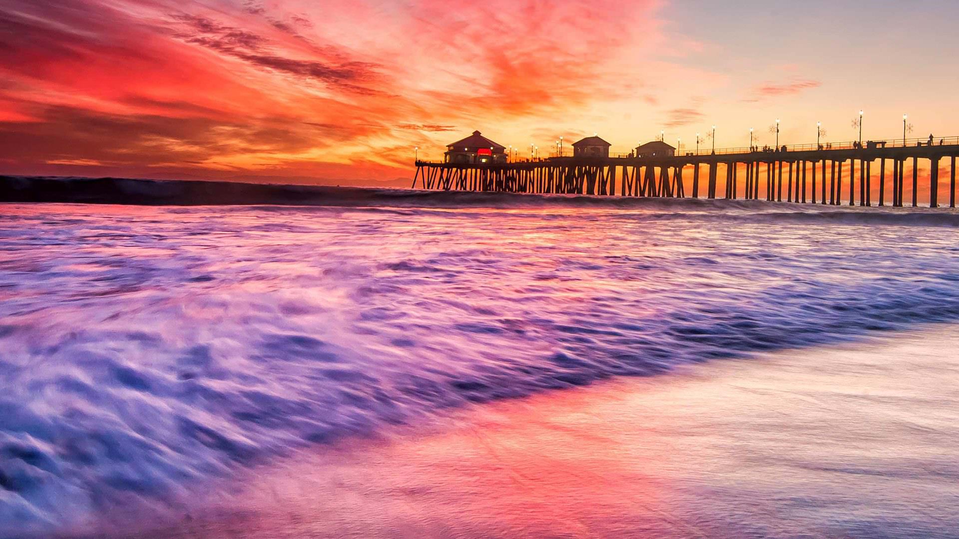 Discover Cheese Vacations in California: Insights from Vivien Straus