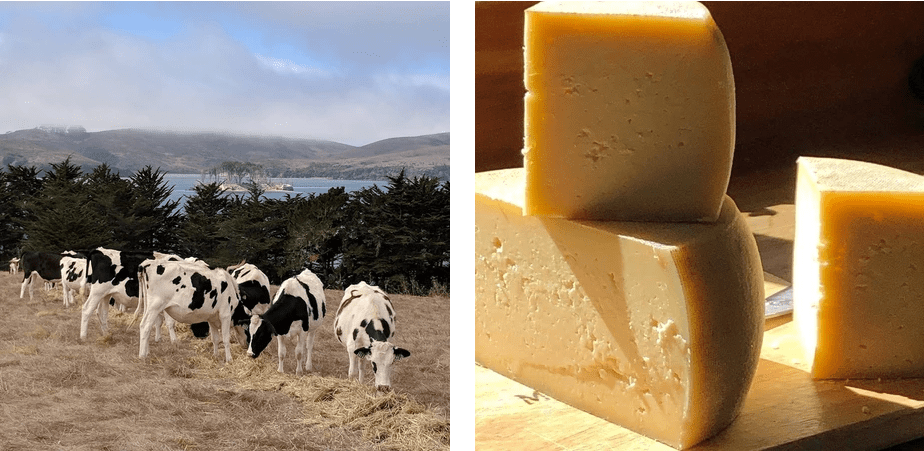 5 New Cheesemakers to Visit on the California Cheese Trail