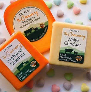 Cal Poly White Cheddar