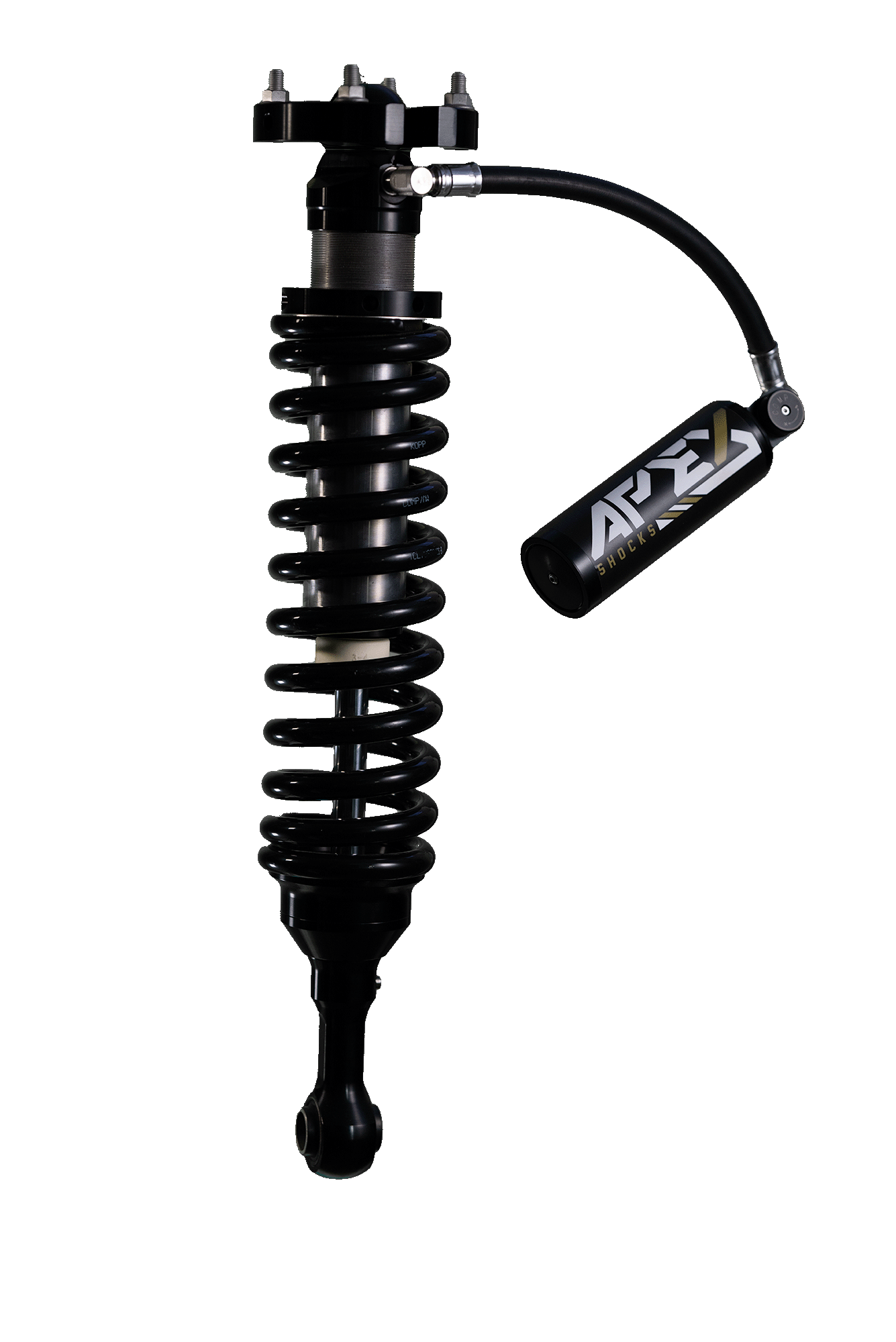 Apex Shocks. 4WD suspension to tackle any terrain | Touring Solutions ...
