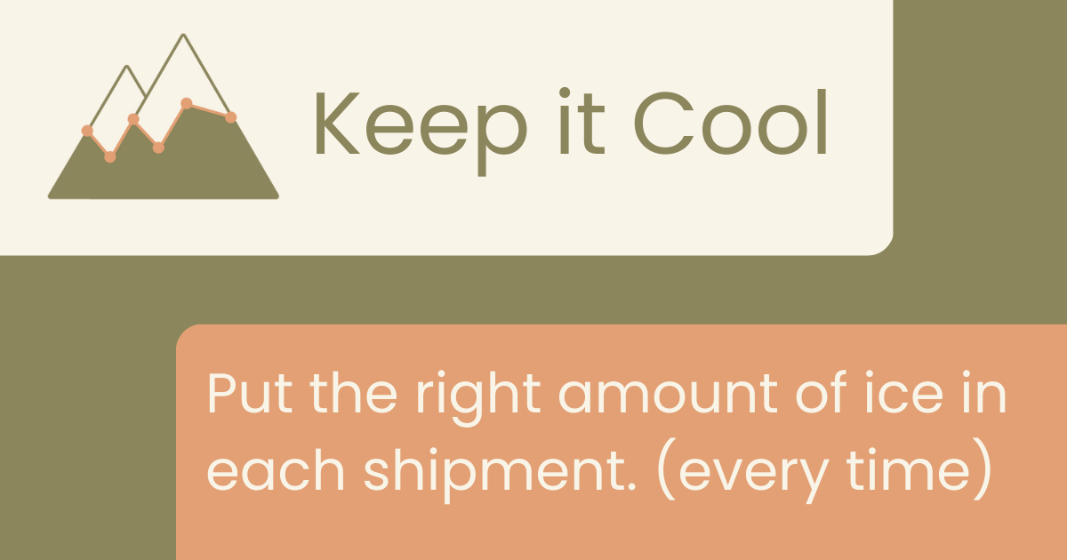Shipping Audit