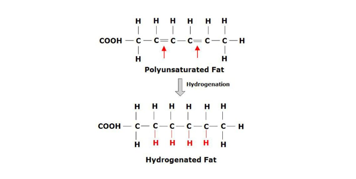 Hydrogen's Sustainable Impact on Food and Beverage Manufacturing 🍔🥤