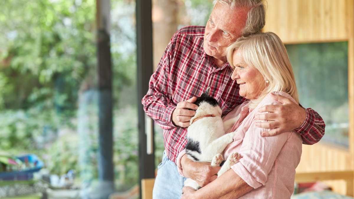 Single Premium Immediate Annuities What You Need To Know | The Annuity Man