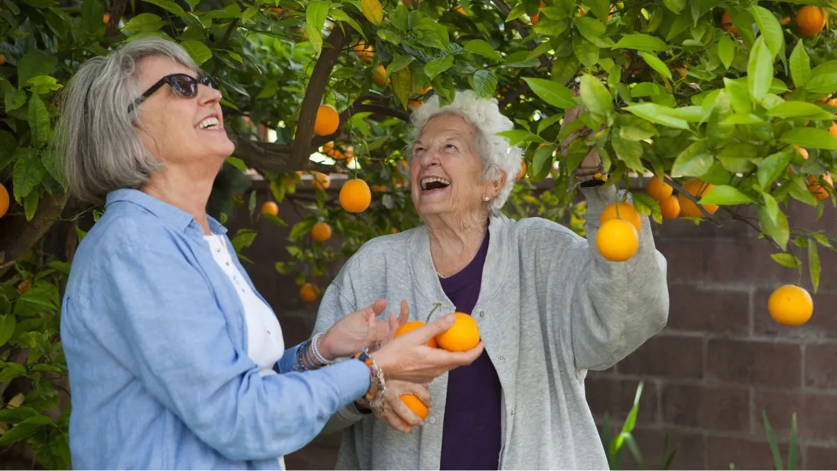 What Is a Deferred Income Annuity? | The Annuity Man