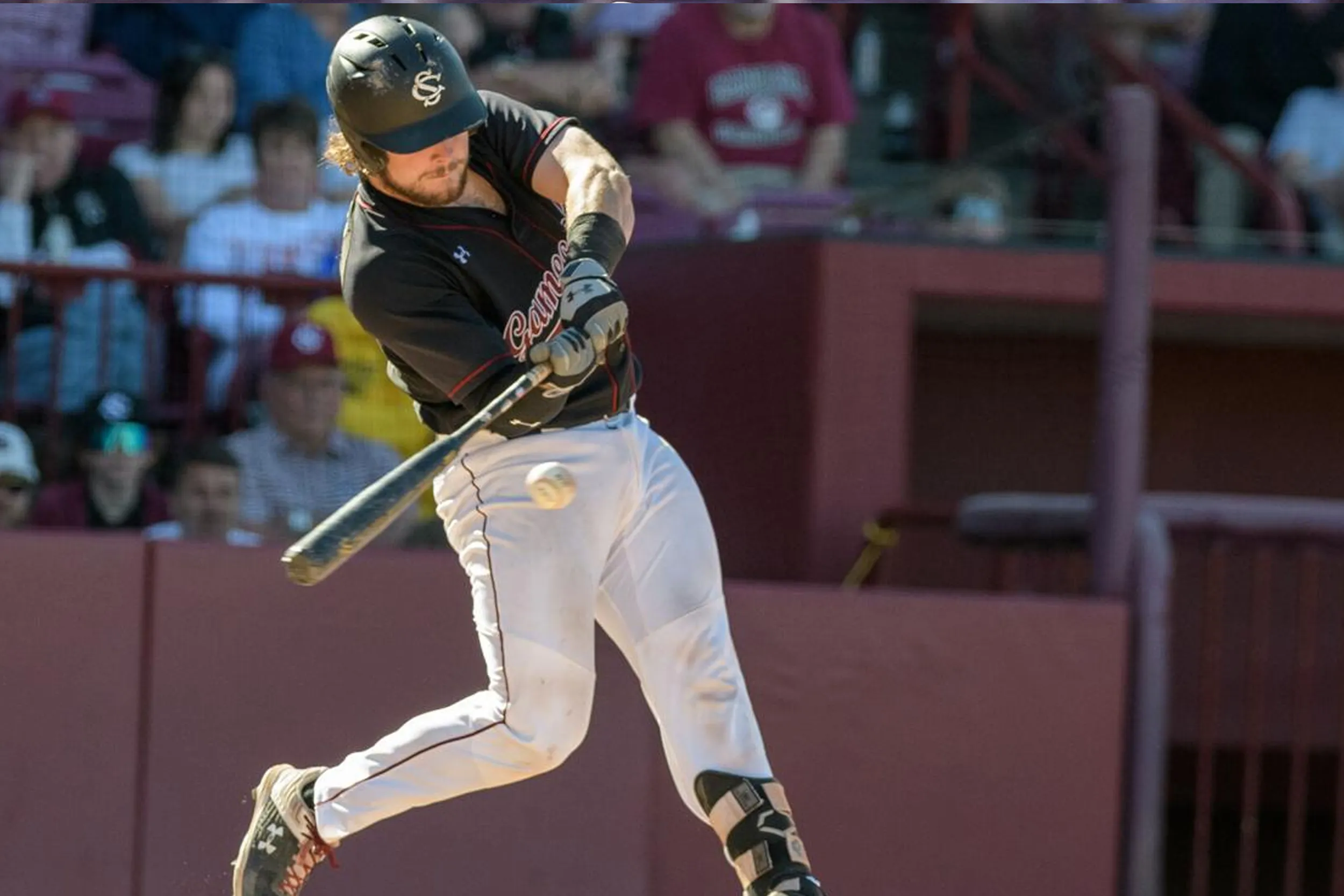 South Carolina Gamecocks Team Page