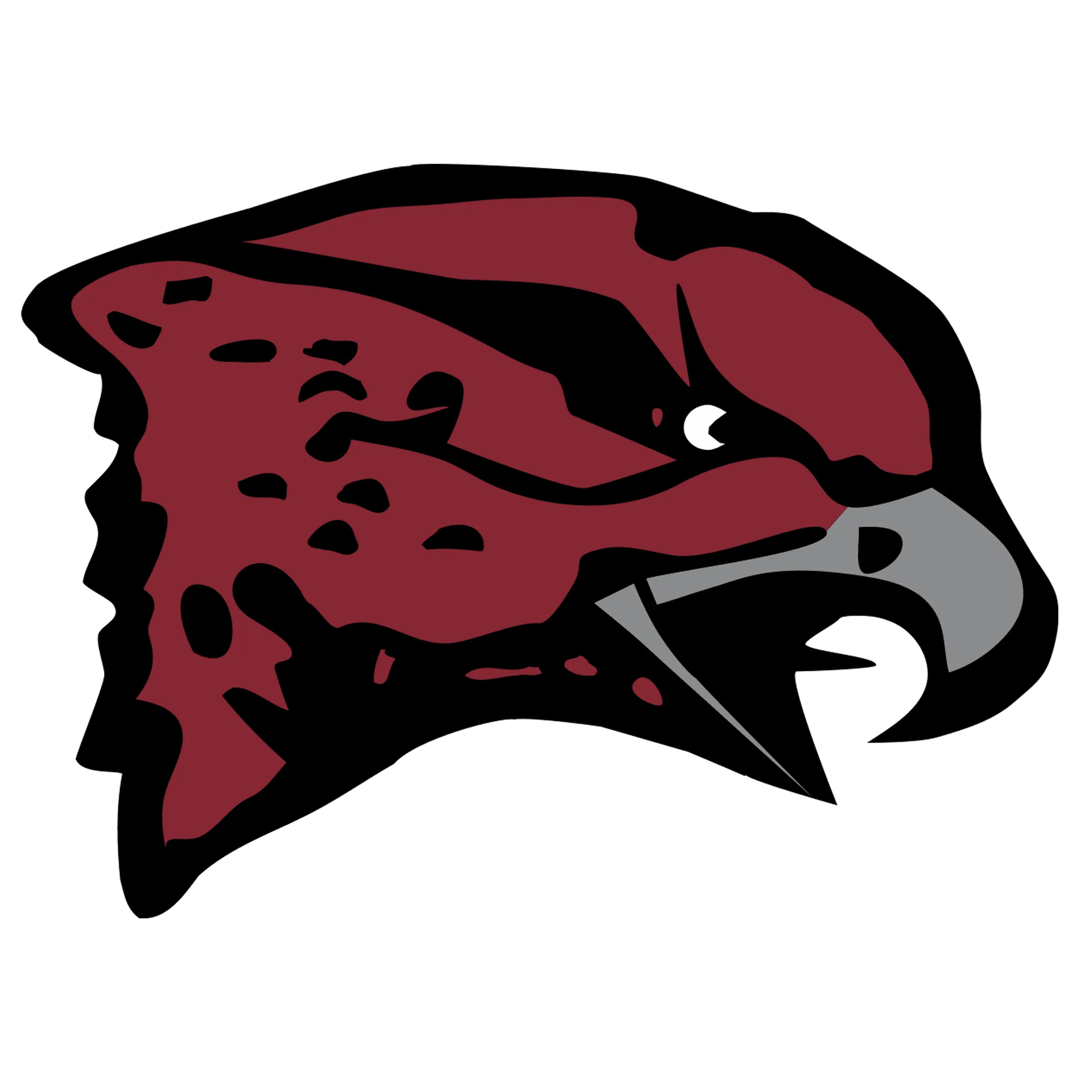 Maryland Eastern Shore Hawks Team Page