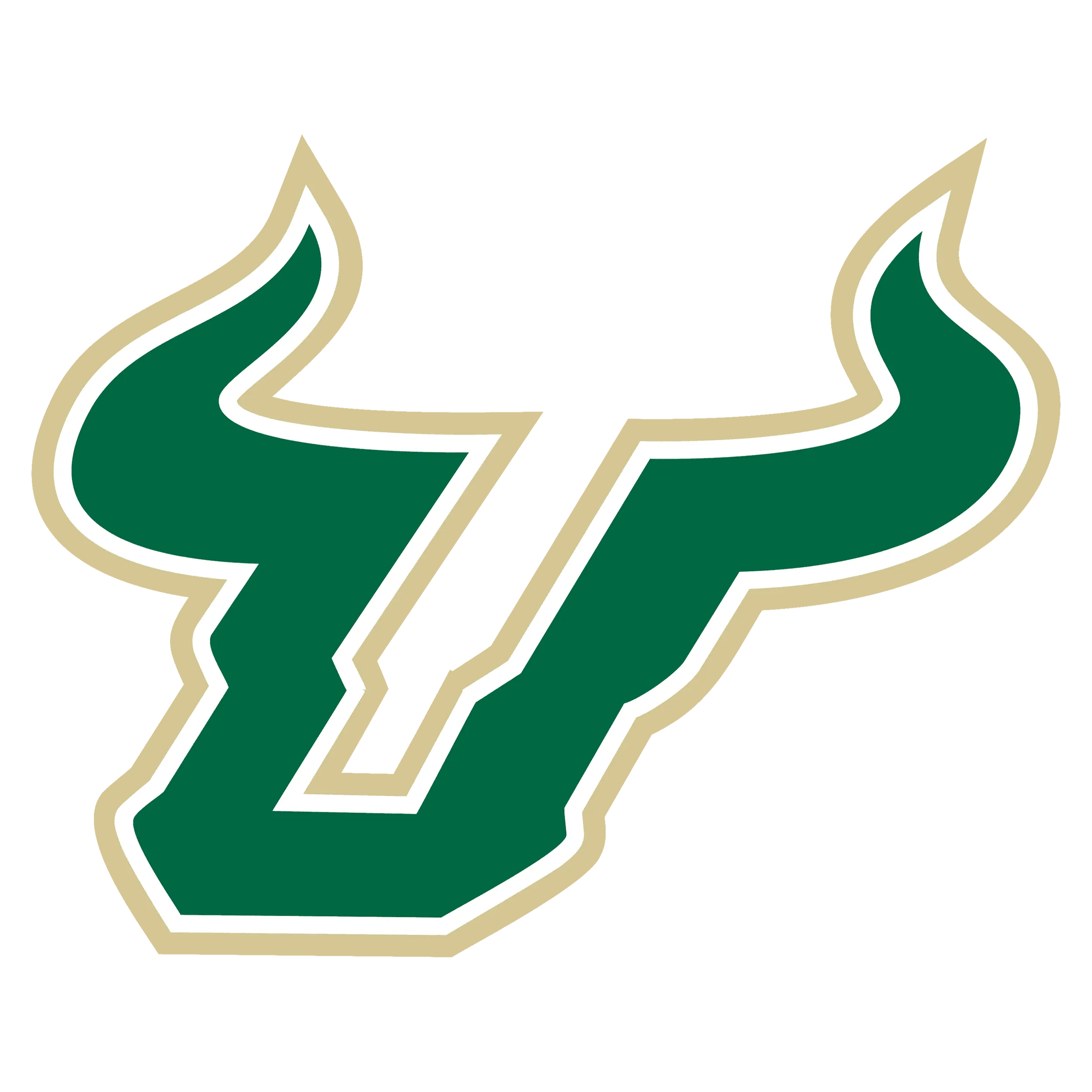 South Florida Bulls Team Page