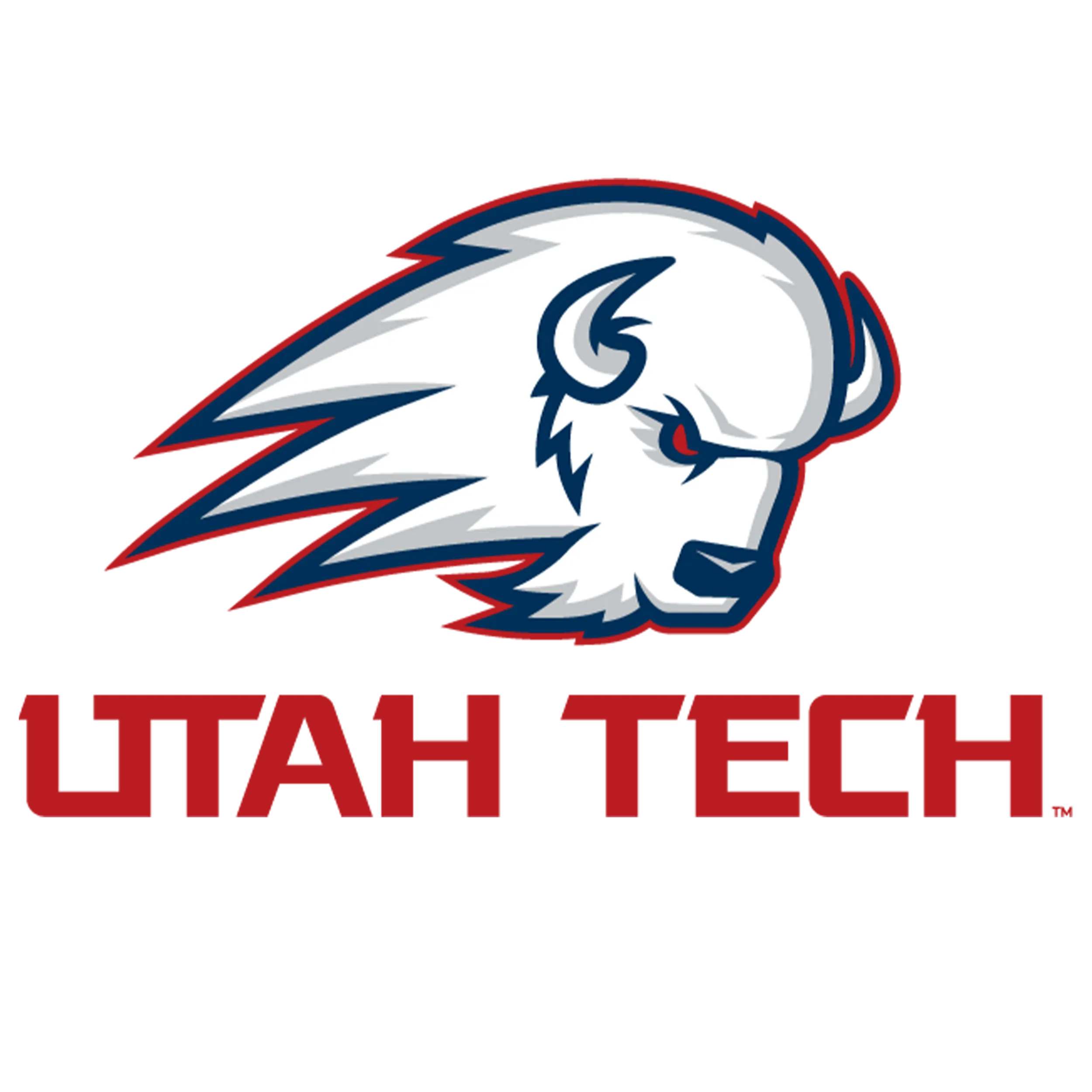 Utah Tech Trailblazers Team Page