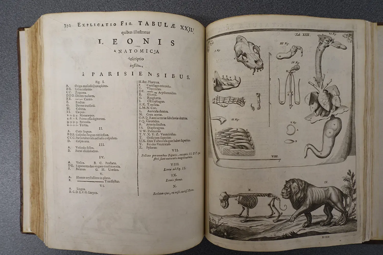 Science That Gets Under The Skin