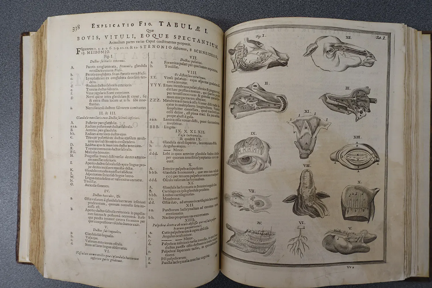 Science That Gets Under The Skin