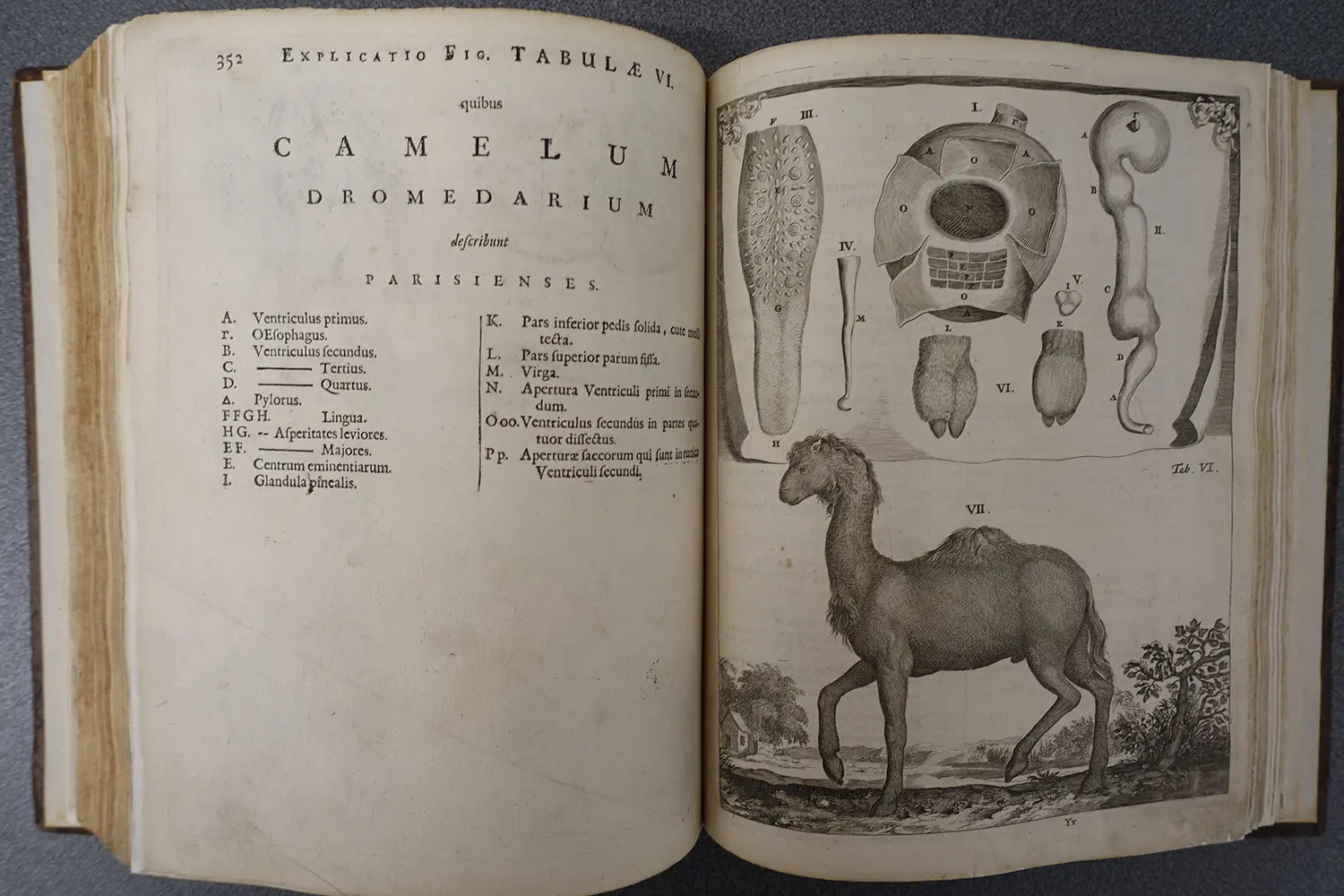 Science That Gets Under The Skin