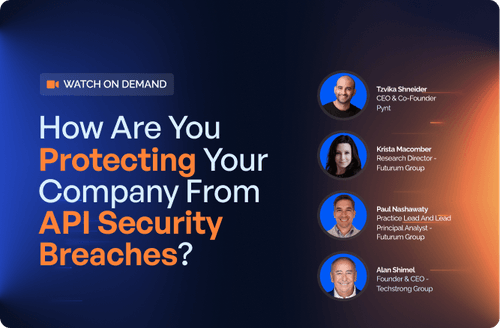 Pynt: Effortless API Security Testing