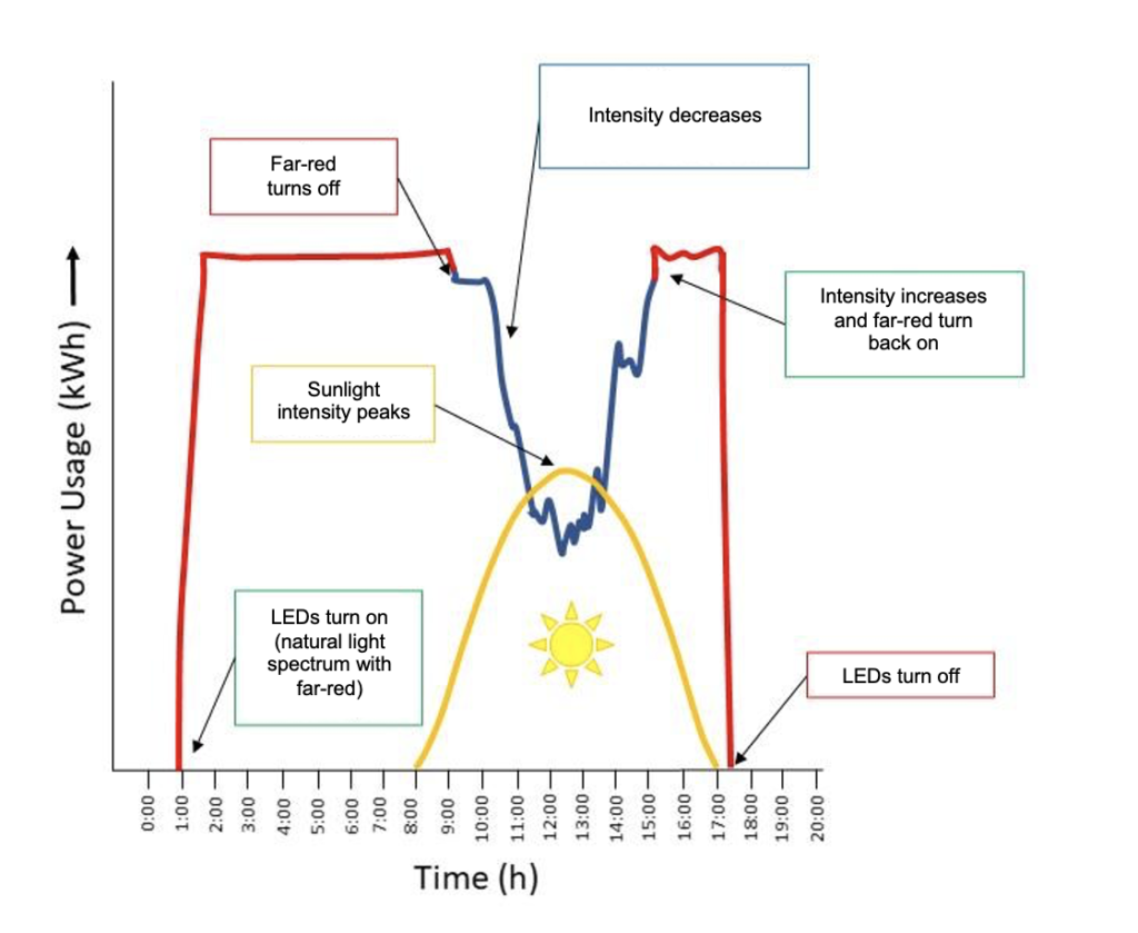 Dynamic Lighting allows growers to push the boundaries of energy efficiency
