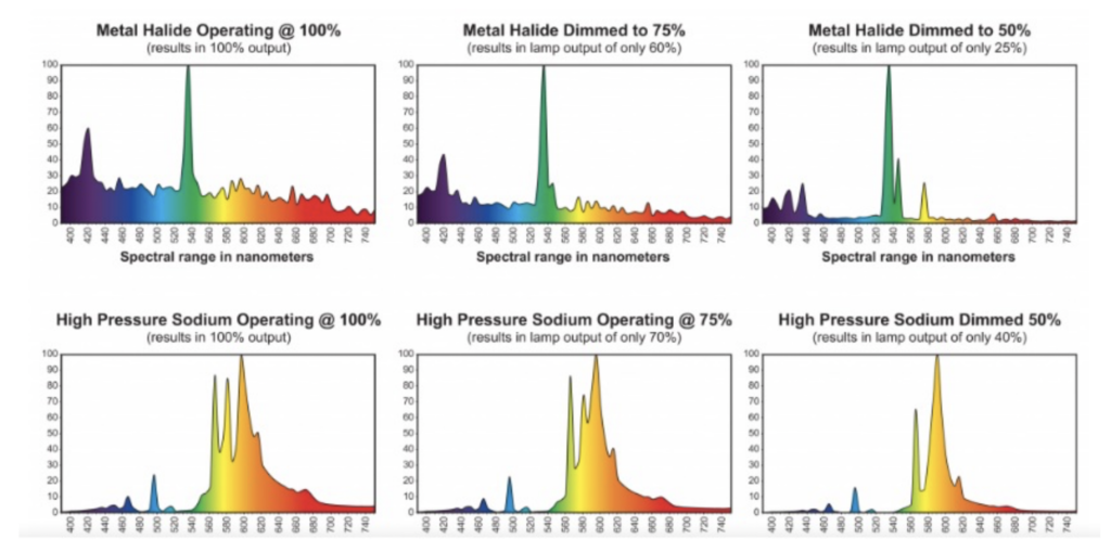 Introduction to Dynamic Lighting