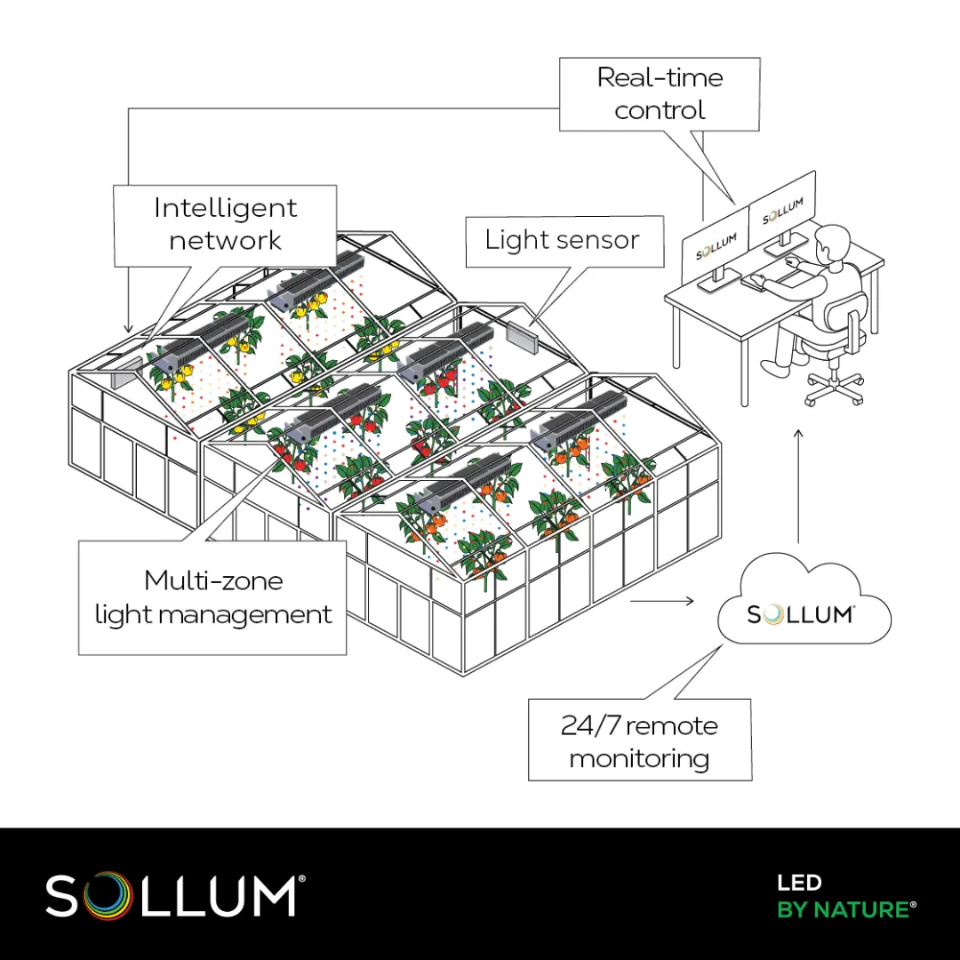 A Guide to Transformative Lighting Solutions