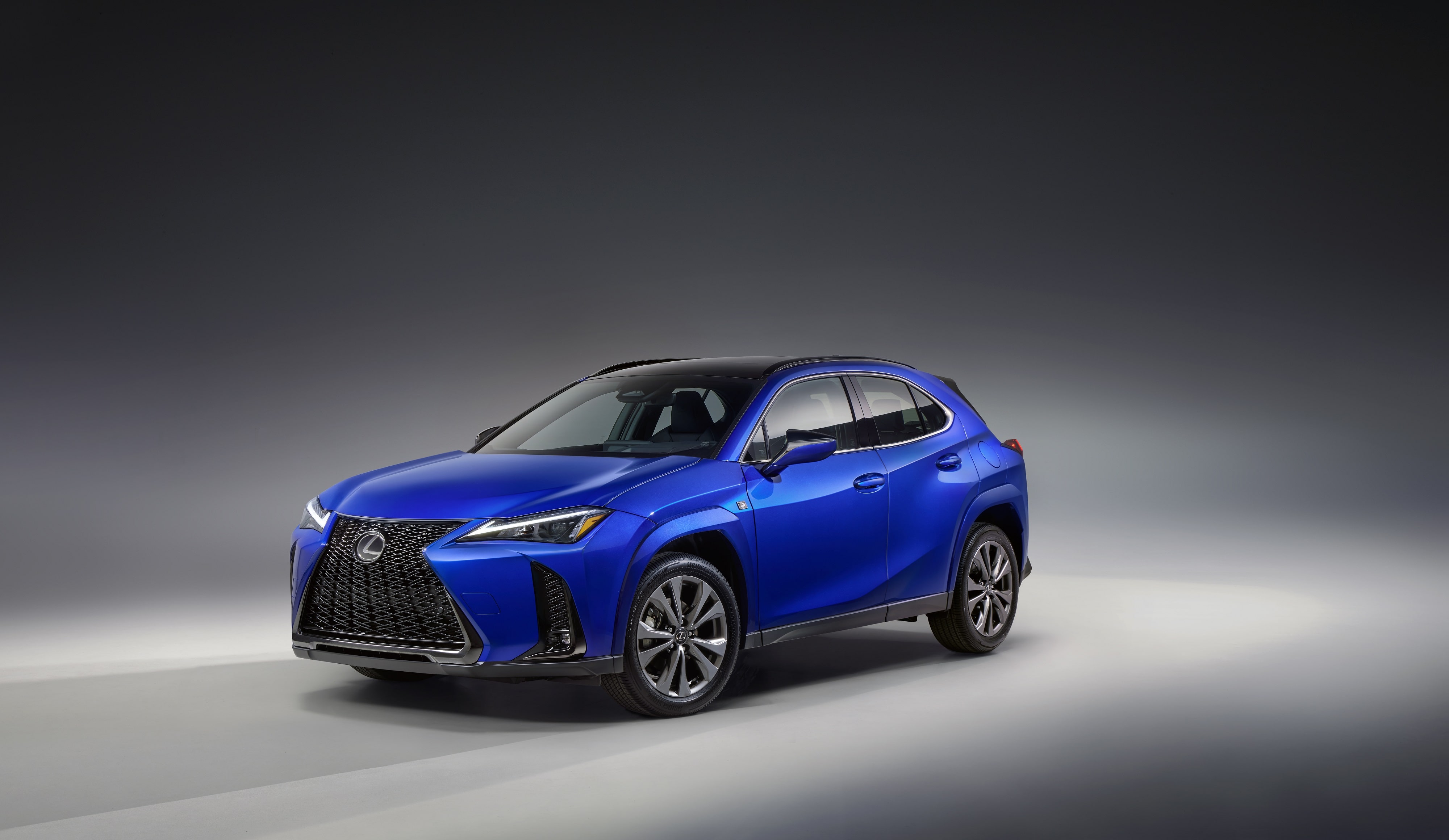 Lexus Updates UX Range for 2024 with Electrified Powertrains | CarSauce